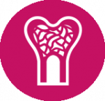 HuBMAP Consortium – The HuBMAP Human BioMolecular Atlas Program