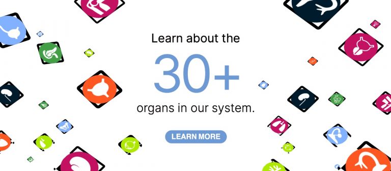 HuBMAP Consortium – The HuBMAP Human BioMolecular Atlas Program