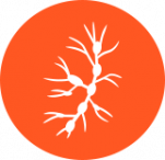 HuBMAP Consortium – The HuBMAP Human BioMolecular Atlas Program