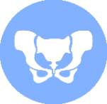 HuBMAP Consortium – The HuBMAP Human BioMolecular Atlas Program