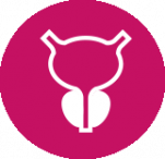 HuBMAP Consortium – The HuBMAP Human BioMolecular Atlas Program