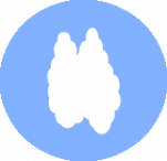 HuBMAP Consortium – The HuBMAP Human BioMolecular Atlas Program